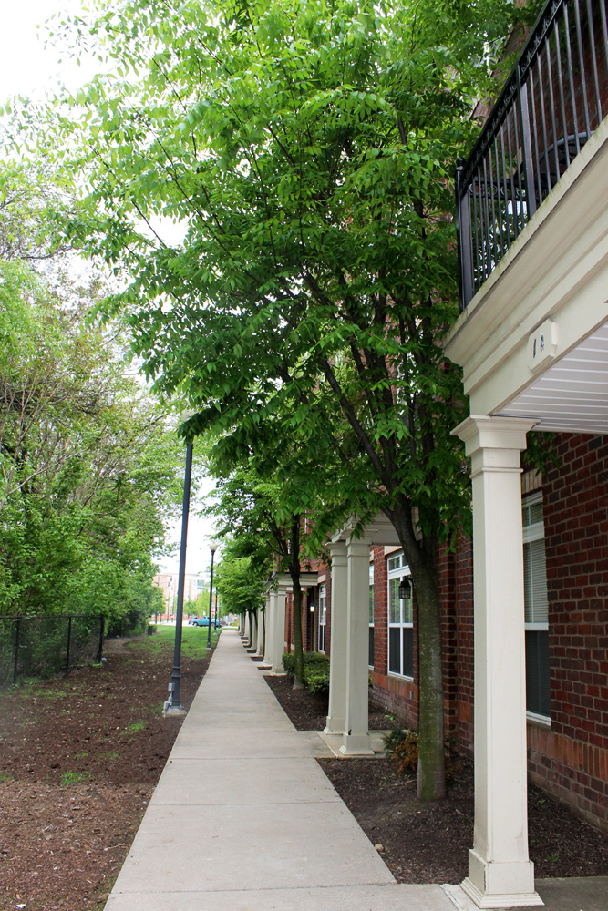 Carson Street Commons | Pittsburgh Apartments | Home