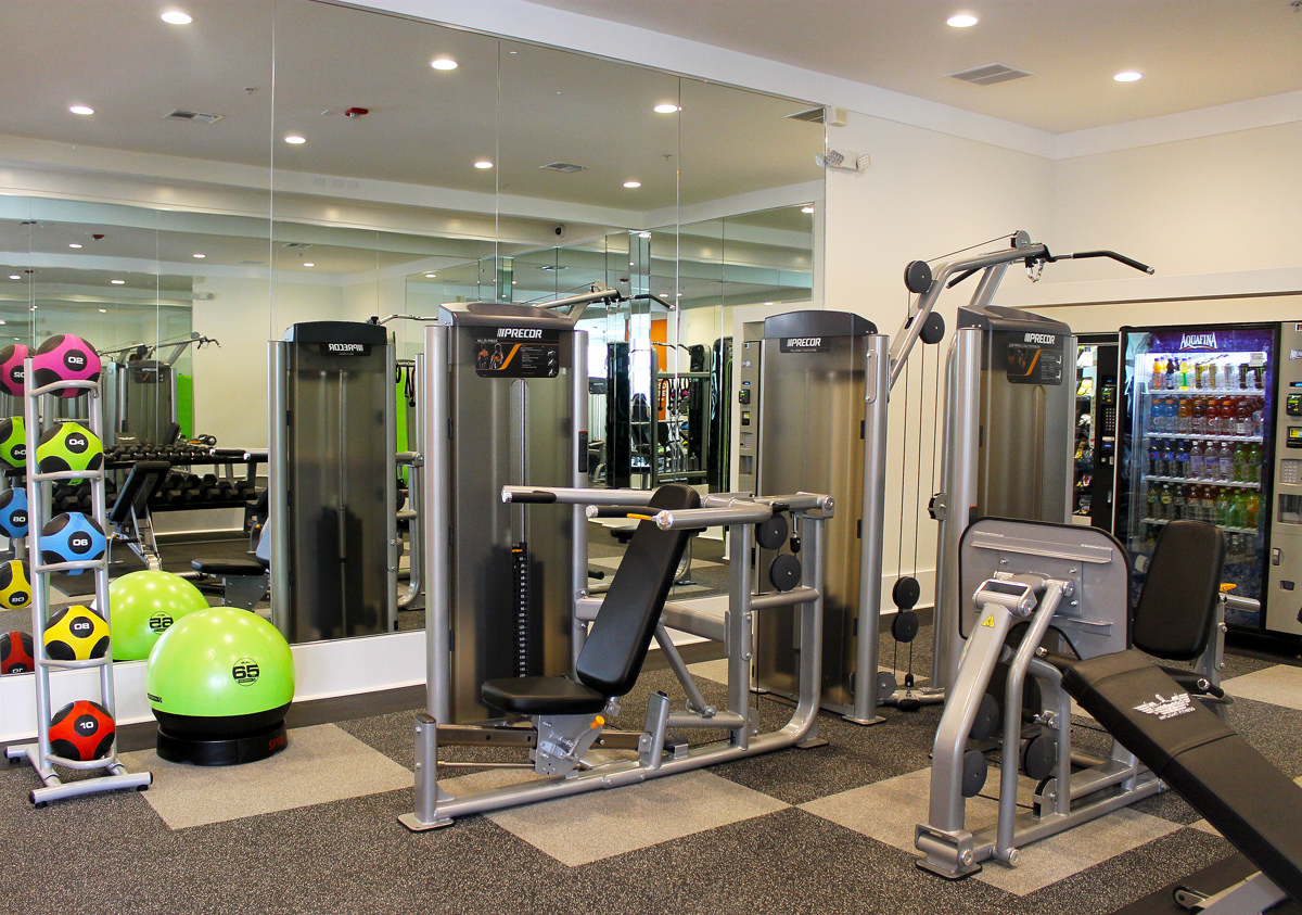 Carson Street Commons | Pittsburgh Apartments | Home